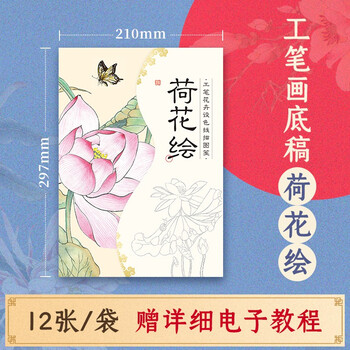 工笔花卉设色线描图笺 荷花绘