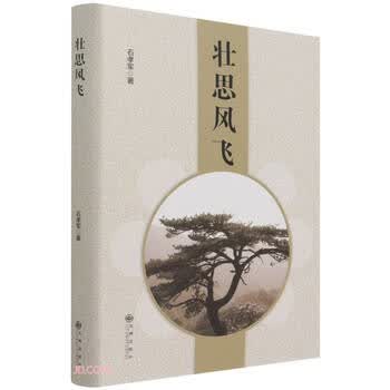 壮思风飞(精)