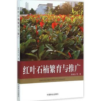 红叶石楠繁育与推广