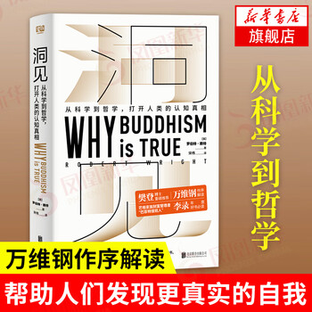 洞见