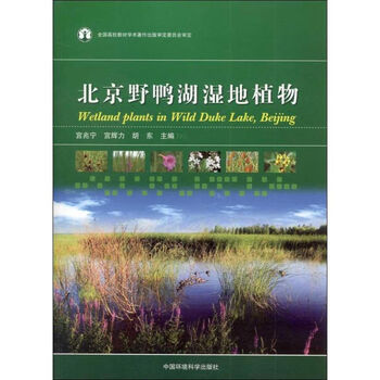 北京野鸭湖湿地植物
