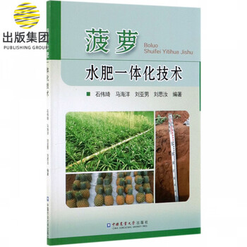 菠萝水肥一体化技术