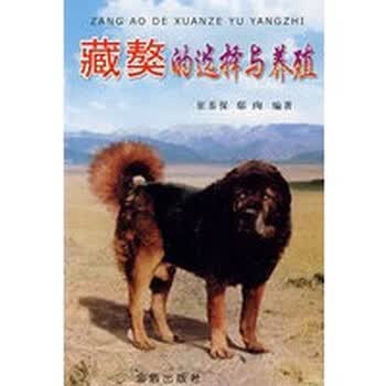 藏獒的选择与养殖