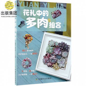 花礼中的多肉组合