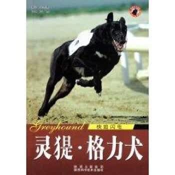 世界名犬-灵提格力犬
