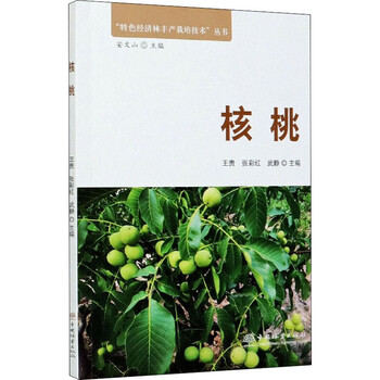 核桃