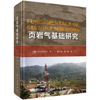 页岩气基础研究【新华书店，售后无忧】