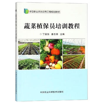 蔬菜植保员培训教程 丁国强，姜忠涛  书籍