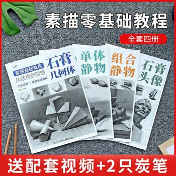 素描书入门教材 素描基础教程全套4册从结构到明暗素描石膏几何体石膏人物头像静物素描书初学者画画自学零基础铅笔画绘画手绘美术书籍临摹画册 整套4本