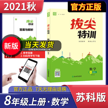 2021秋通城学典初中拔尖特训八年级上册数学苏科版初二8年级上SK版同步教材专项训练提高尖子生学案