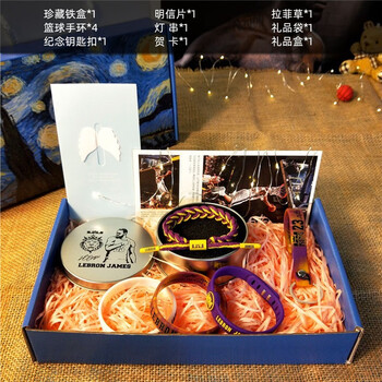 篮球迷手环科比詹姆斯欧文库里哈登纪念品手办周边生日礼物送男生 詹姆斯-套餐一(礼盒)