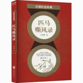 匹马嘶风录 图书