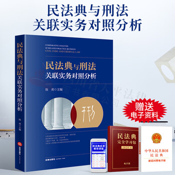 2021新书 民法典与刑法关联实务对照分析 陈勇 刑民交叉要点解析 典型案例解读 刑事审判 刑事辩护业务