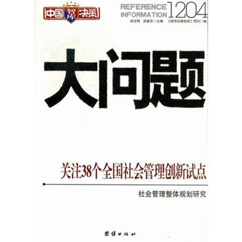 包邮：大问题1204 励志与成功 社会问题研究中国  图书