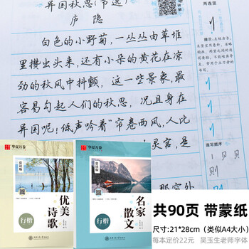 吴玉生行楷入门技法字帖 学生初学者硬笔行书钢笔临摹练字贴 2本:优美诗歌+名家散文