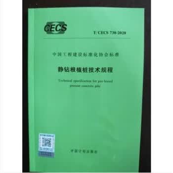 T/CECS 738-2020 静钻根植桩技术规程