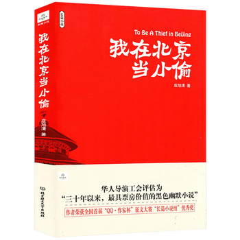 长篇小说：我在北京当小偷