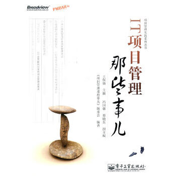 IT项目管理那些事儿 王保强 电子工业出版社