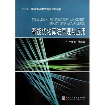 智能优化算法原理与应用 李士勇 等  书籍