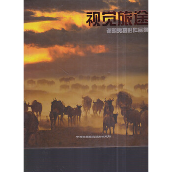 视觉旅途【新华书店，售后无忧】