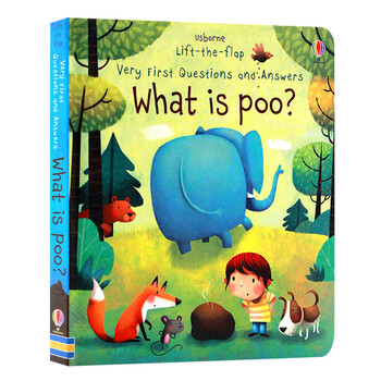 Usborne Very First Questions And Answers What Is P