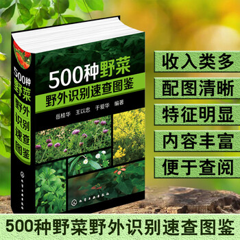 500种野菜野外识别速查图鉴 中国野菜野果植物图鉴图谱一本通书籍大全自然科学 生物科学 植物学健康饮