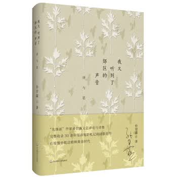 我又听到了郊区的声音：诗与思