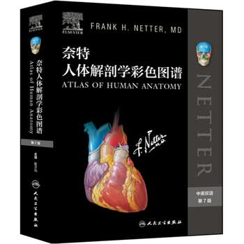 奈特人体解剖学彩色图谱 张卫光 译 人民卫生出版社