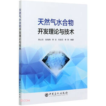 天然气水合物开发理论与技术
