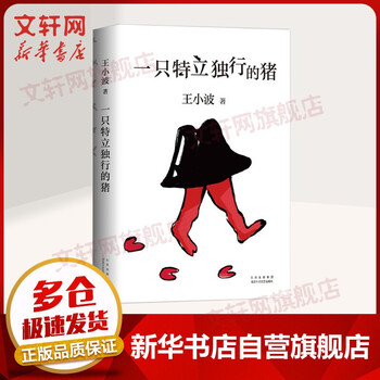 【新版】一只特立独行的猪 王小波散文小说作品集