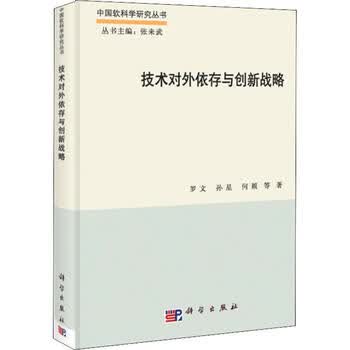 技术对外依存与创新战略