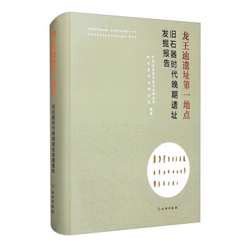 龙王辿遗址第一地点——旧石器时代晚期遗址发掘报告