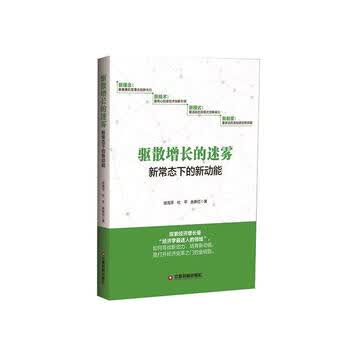 驱散增长的迷雾:新常态下能经济  图书