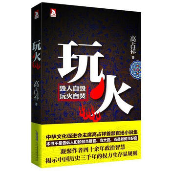 玩火 高占祥 北京时代华文书局