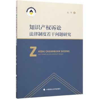 知识产权诉讼法律制度若干问题研究