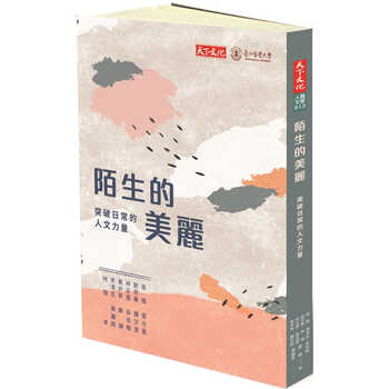 预售 张错 陌生的美丽：突破日常的人文力量 天下文化