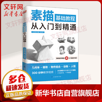 素描基础教程从入门到精通