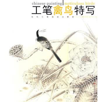 工笔禽鸟特写