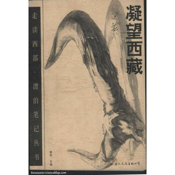 凝望西藏 巴荒