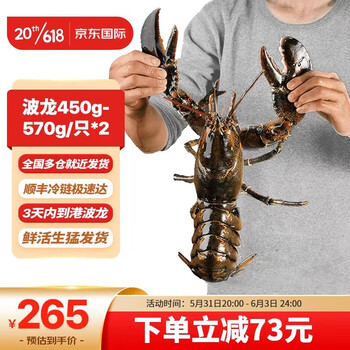 First Catch【保活到家】波士顿龙虾鲜活波龙大龙虾海鲜水产顺丰冷链超快时效 450g-570g*2只 鲜活大波龙【图片 价格 品牌 ...