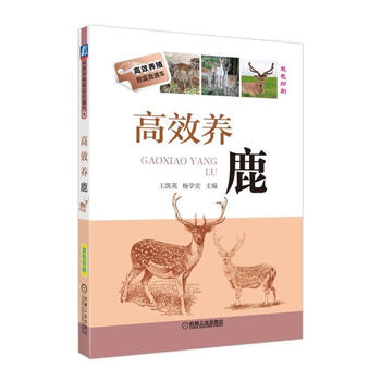 高效养鹿【正版图书】