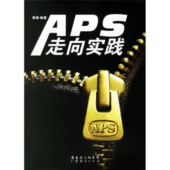 [正版图书] APS走向实践 蔡颖 广东经济出版社 9787807285182