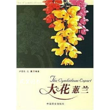大花蕙兰 卢思脱，石雷著 中国农业出版社
