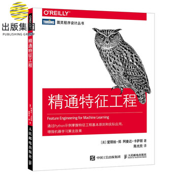 精通特征工程/图灵程序设计丛书