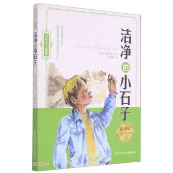 洁净的小石子9787531944355