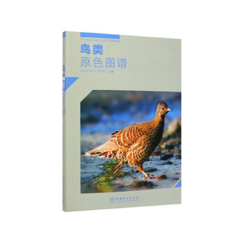 鸟类原色图谱