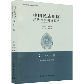 中国民族地区经济社会调查报告 文化卷