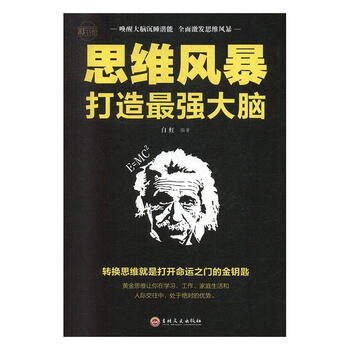 思维风暴:打造*脑哲学/*智力游戏 图书