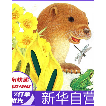 小水獭奥斯卡(中英双语)/亮丽精美触摸书 乐乐趣