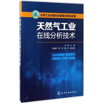 天然气工业在线分析技术 王森 化学工业出版社